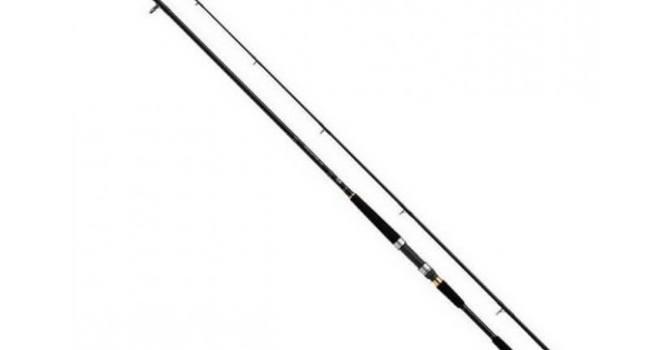 DAIWA 21 Jig Caster 100H-N 3.05m 30-100g